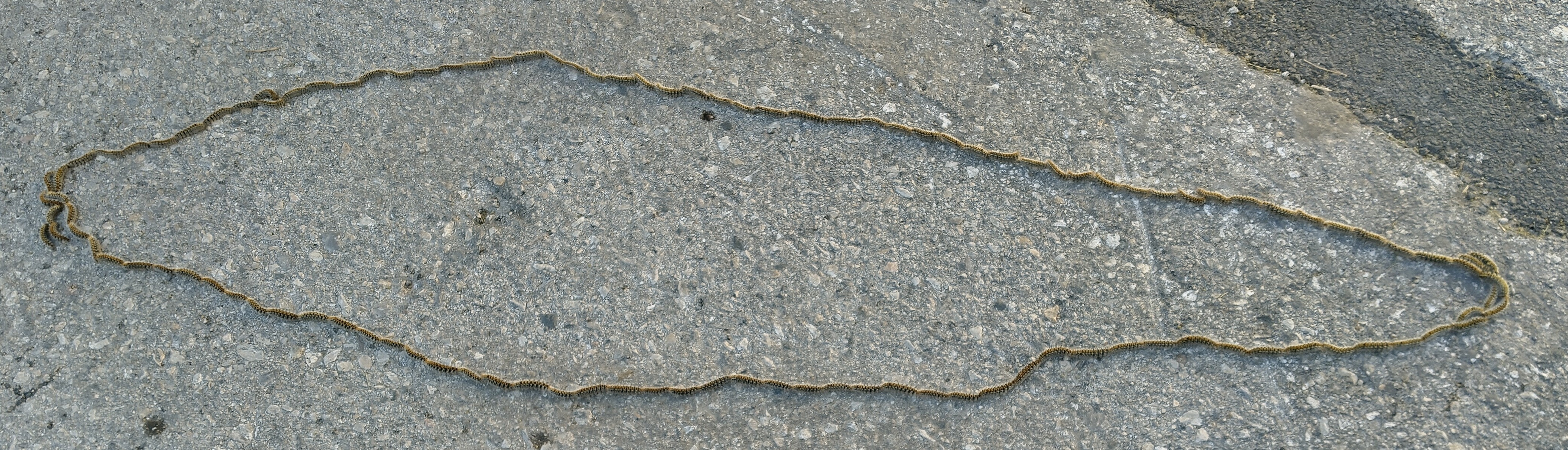 Diomidis Spinellis (@CoolSWEng@mastodon.acm.org) - Mastodon